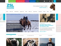 Zsl.org SEO Report to Get More Traffic - Kontactr